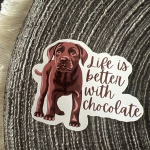 Trailer Endurance Horse Decal Sticker for Car Window, Endurance Riding ...