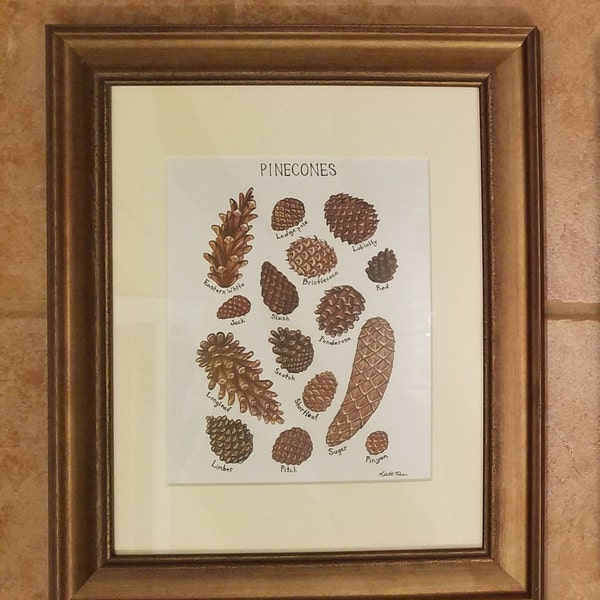 Leaves of North America Field Guide Art Print / Watercolor Tree ...