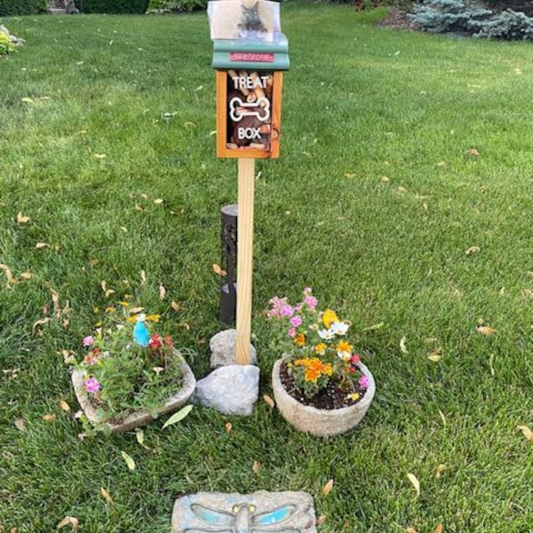 American Robin Nesting Box, Nesting Shelf, Large Bird House, Metal Roof ...