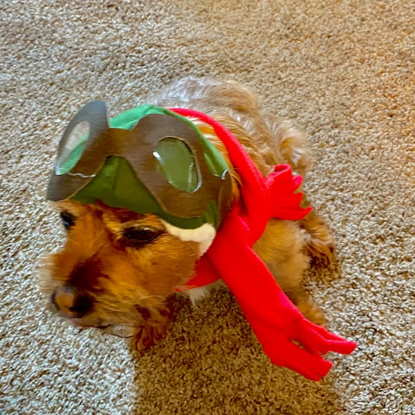 Red Baron Snoopy Dog Costume: the Peanuts Halloween Outfit - Etsy