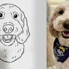 Digital Pet Outline (SIMPLE) - Dog Cat Vector Line Out Drawing, Pet ...