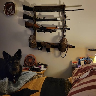 Turkey Tail/wing Mount. - Etsy