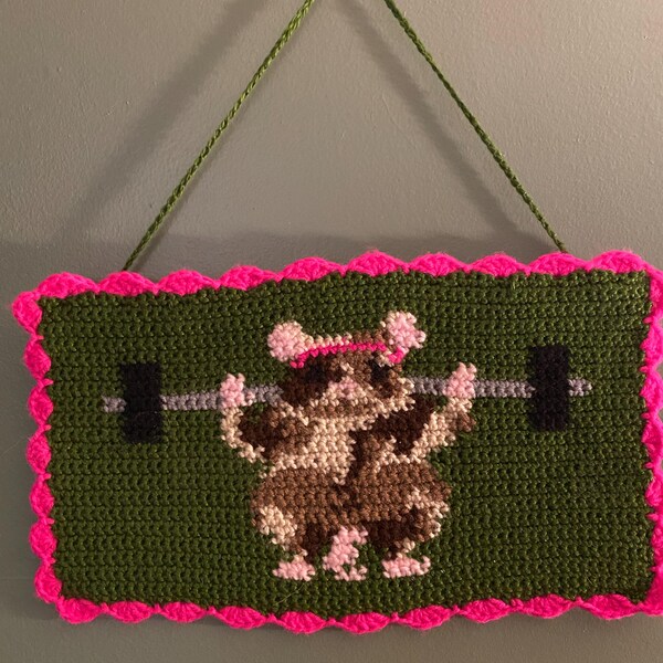 Gym Rat COMBO Crochet Tapestry Pattern PDF - Etsy