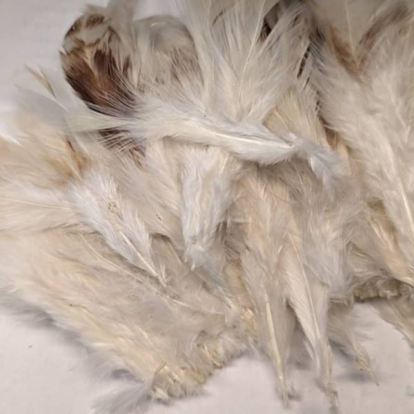 Feather Supply, 1 Piece - COMPLETE NATURAL Ringneck Pheasant Skin Pelt ...