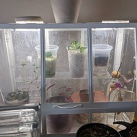 AKERBAR Desktop Greenhouse (17in) Acrylic Pegboard and Shelf Kit for ...