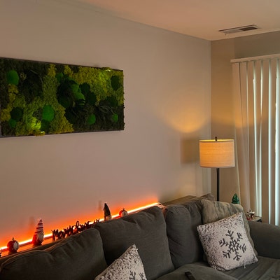 Gorgeous Moss Wall Art Greenery With LED Lights Live Moss LED Artwork ...