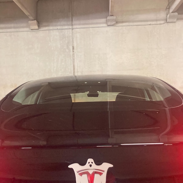 Magnetic Fangs for Ford F-150 Raptor - Etsy