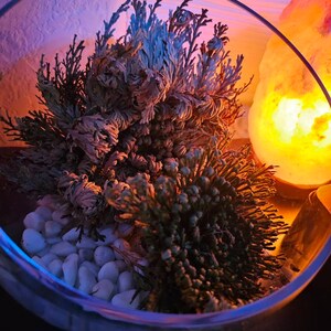 Cascarilla Powder efun/ Eggshell Powder tracking Number Included TWO ...