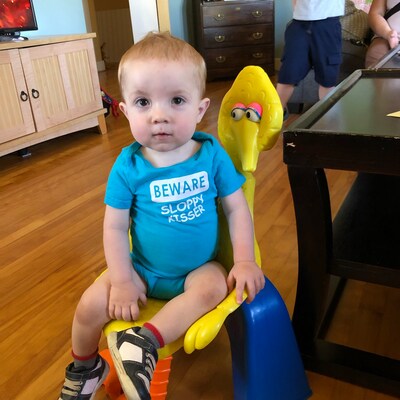 Hand Carved Stork Mirror - Etsy