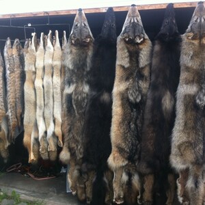 Red Fox Neckwarmer or Red Fox Neck Warmer With Tail. | Etsy