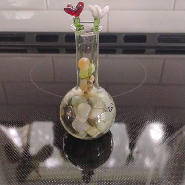 Handmade Greenhouse Glass Terrarium With Preserved Moss, Wood, Faux ...