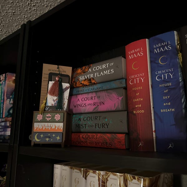 ASSEMBLED Book Nook| Acotar Inspired| Fantasy Books| Silver Flames| Bat ...