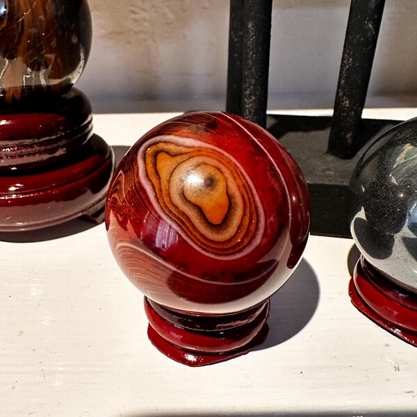 Rare Piece of Pacific Fission Worm Colony, False Brain Coral Rock ...