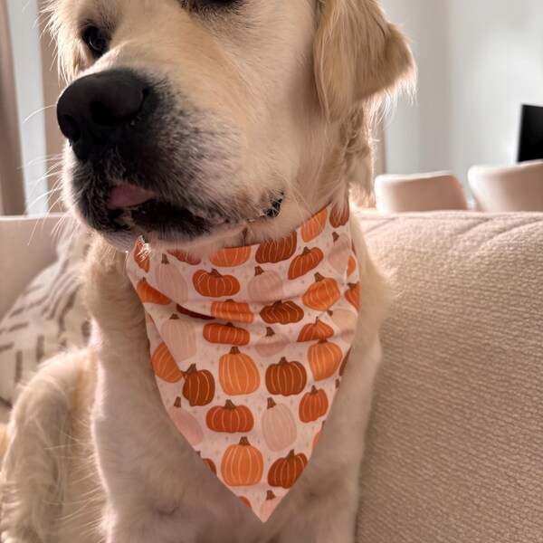 Pumpkin Pickin' Autumn Dog Bandana Fall Halloween Scrunchie Bandana ...