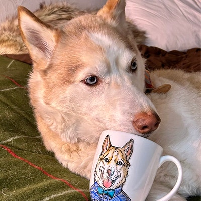 Shark Swedish Fish Snack Attack Vinyl Decal Sticker - Etsy