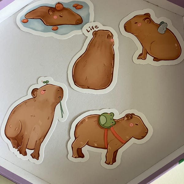 Capybara Stickers | Sticker Pack | Laptop Sticker | Vinyl Sticker ...