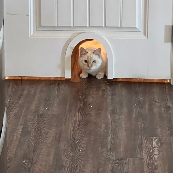 Cat Door - Pet Entryway - Pet Door - Indoor Pet Door - Interior Cat ...