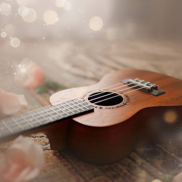 Flying Tulle Fabric Brushes for Photo Editing, Realistic Tulle Veil ...