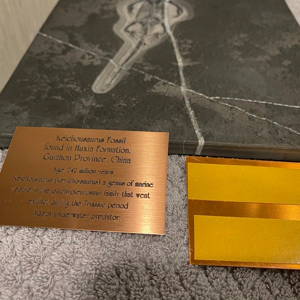 Engraved Brushed Copper Plate Picture Frame Art Label Name Tag 3" X 2 ...