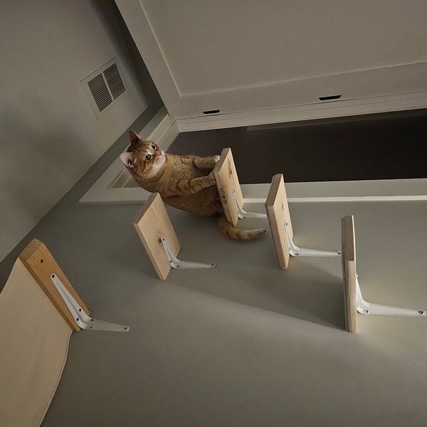 Large Cat Climbing Steps Wide & Long, Set of 4 Wall Mounted Shelves ...