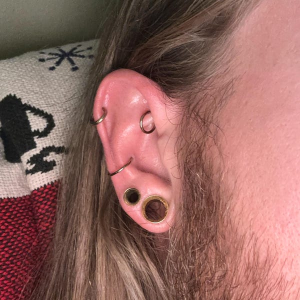 Ear Stretching Kit Surgical Steel Taper & Single Flare Plug Kit 316L ...