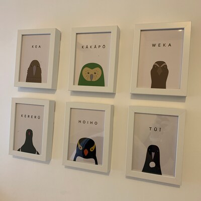 New Zealand Birds Wall Art, MEGA BUNDLE, Set of 20 , Printable, Instant ...