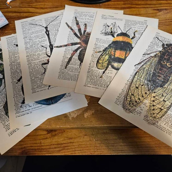 Bug/insect Themed Dictionary Prints - Etsy