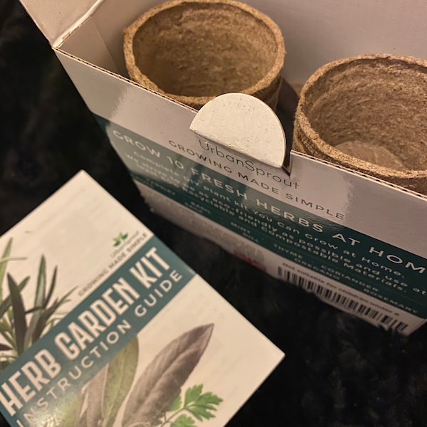 Cactus Kit - Grow Your Own Cacti Plants Indoors -gardening Gift - Etsy UK