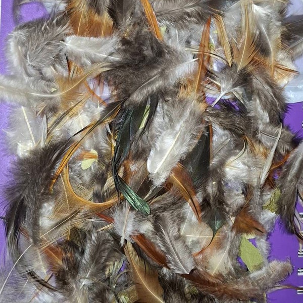 Pair Bantam Rooster Wings Feathers Craft N2 - Etsy