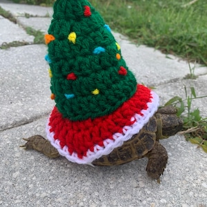 Basketball Crochet Costume for Turtles/ Tortoises - Etsy
