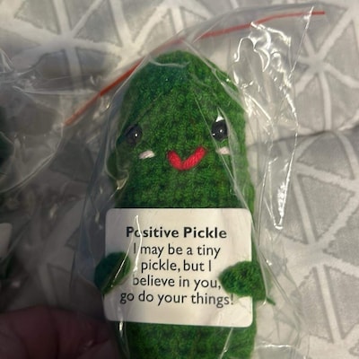 Positive Pickle,emotional Support Pickle,big Fan Pickle,handmade ...