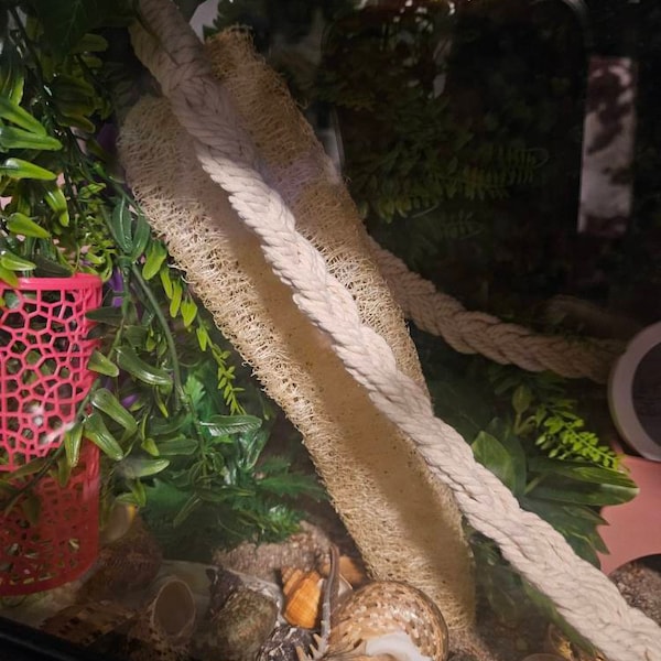 Editable Classroom Donation Printable | Teacher Wish List Items | Meet ...