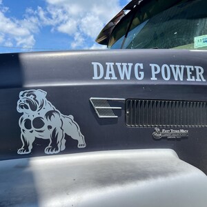 Bluegill Panfish Sunfish Svg Png Dxf Eps Pdf Transparent Vector Graphic ...