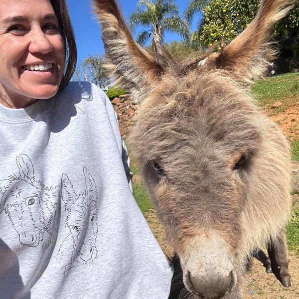 Personalized Donkey Mom Shirt, Custom Two Donkeys Names, Sweatshirt ...