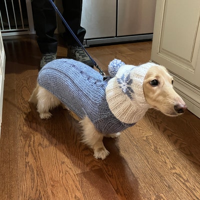 Personalized Dog Sweater With Initials, Dog Clothes With Letter of Name ...