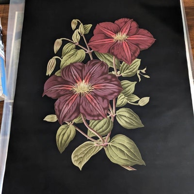 Nelson Mandela Inspirational Education Quote Digital Download ...