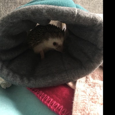 Hedgehog Snuggle Sack. Snuggle Pouch or Sleeping Bag for Hedgehog ...