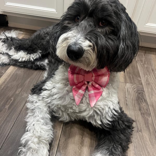 Luxe Blue Sapphire Velvet Key Fob Wristlet | Winter | Rose Gold, Gold ...