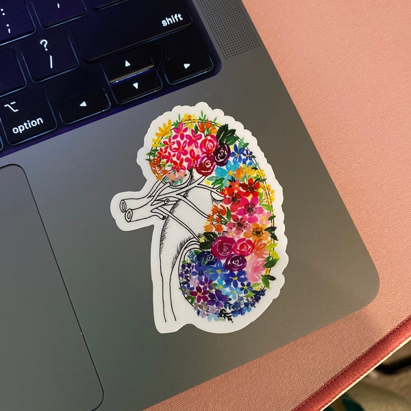 Anatomical Kidney Floral Vinyl Sticker. Vinyl Decal, Laptop Sticker ...