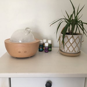 Willow Glass Dome & Wood Grain Diffuser Essential Oil - Etsy