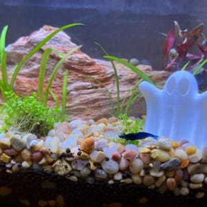 28mm Cattle Cows Farm Tabletop Wargame 3D Print Eskice Miniatures - Etsy