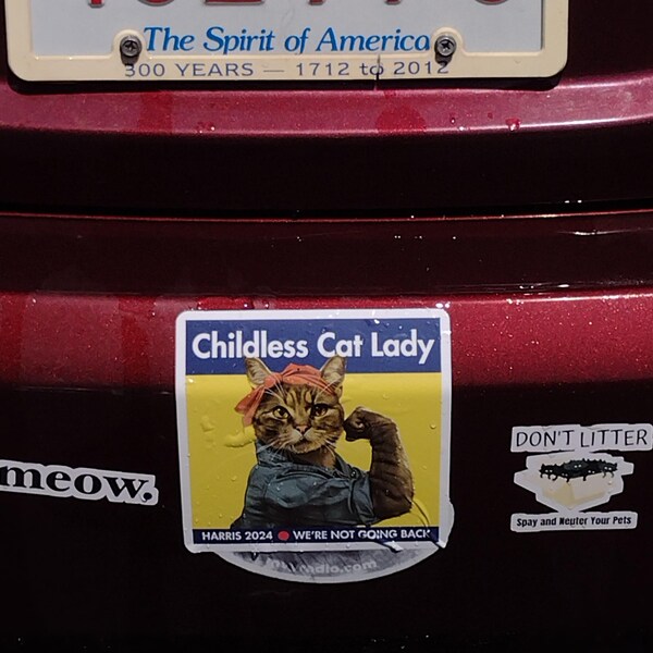 Childless Cat Lady Sticker | Kamala Harris 2024 | Funny Cat Sticker ...