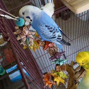 Botanical Bliss Seagrass Foraging Tray Rose Blossom Foraging Tray for ...