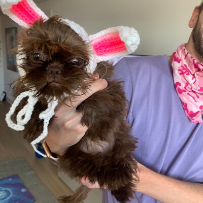 Dog Costume, Dog Collar, Blooming Flower Halloween Costume, Dog Clothes ...