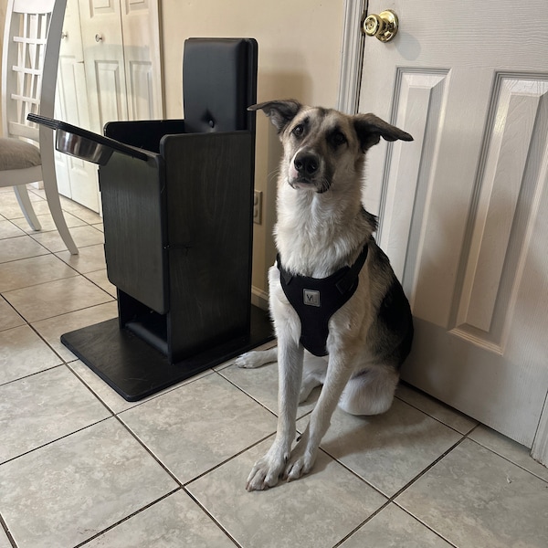 Custom Bailey Chair for Dogs With Megaesophagus | Upright Feeding Chair ...