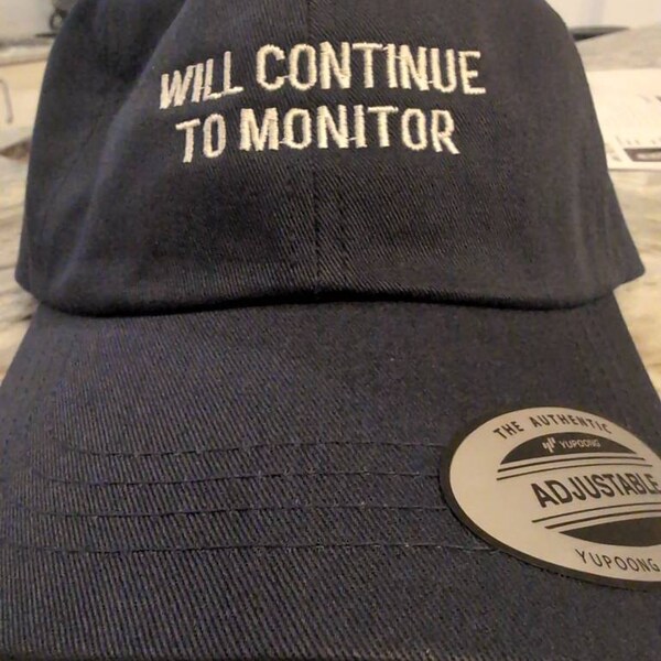 Unreliable Narrator, Dad Hat Aesthetic, Literature Gift Hat, Gift for ...