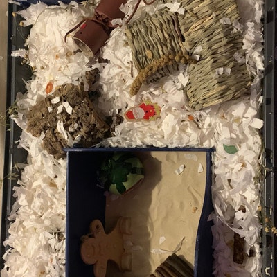 Hamster Large Sandbox Slot Together Wooden - Etsy