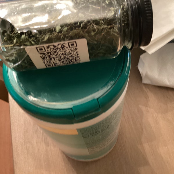 Design Your Own Impkin! - Etsy