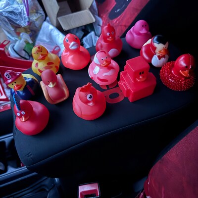 Buck Bronco Ducks Duck Tag for Bronco Rubber Horse Ducks Youve Been ...