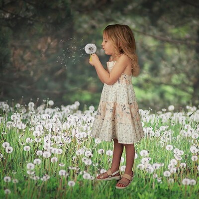 Silver Metallic Color Gradient Swatches for Inkscape - Etsy